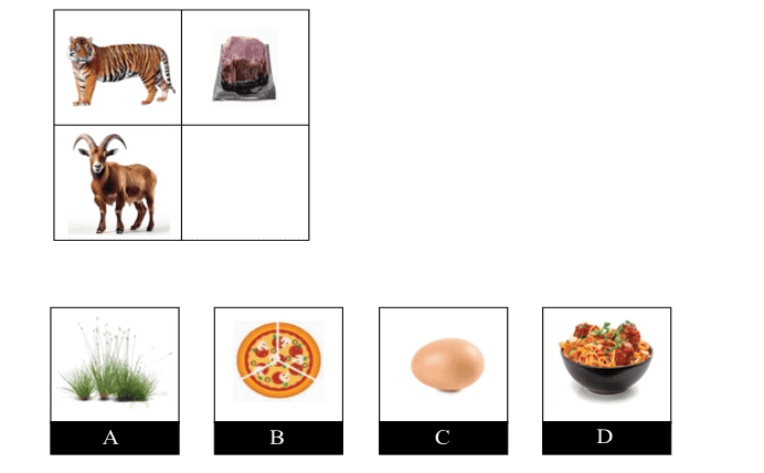 CogAT 2nd Grade Free Practice Test 2025 & PDF [Level 8]