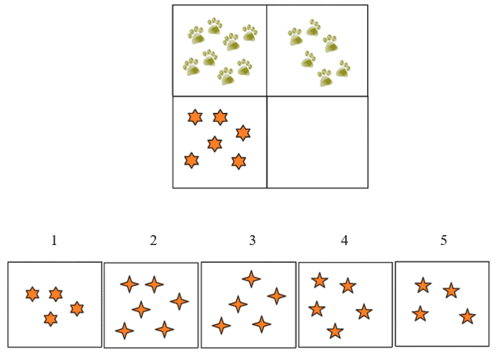 CogAT 4th Grade Free Practice Test 2025 & PDF [Level 10]